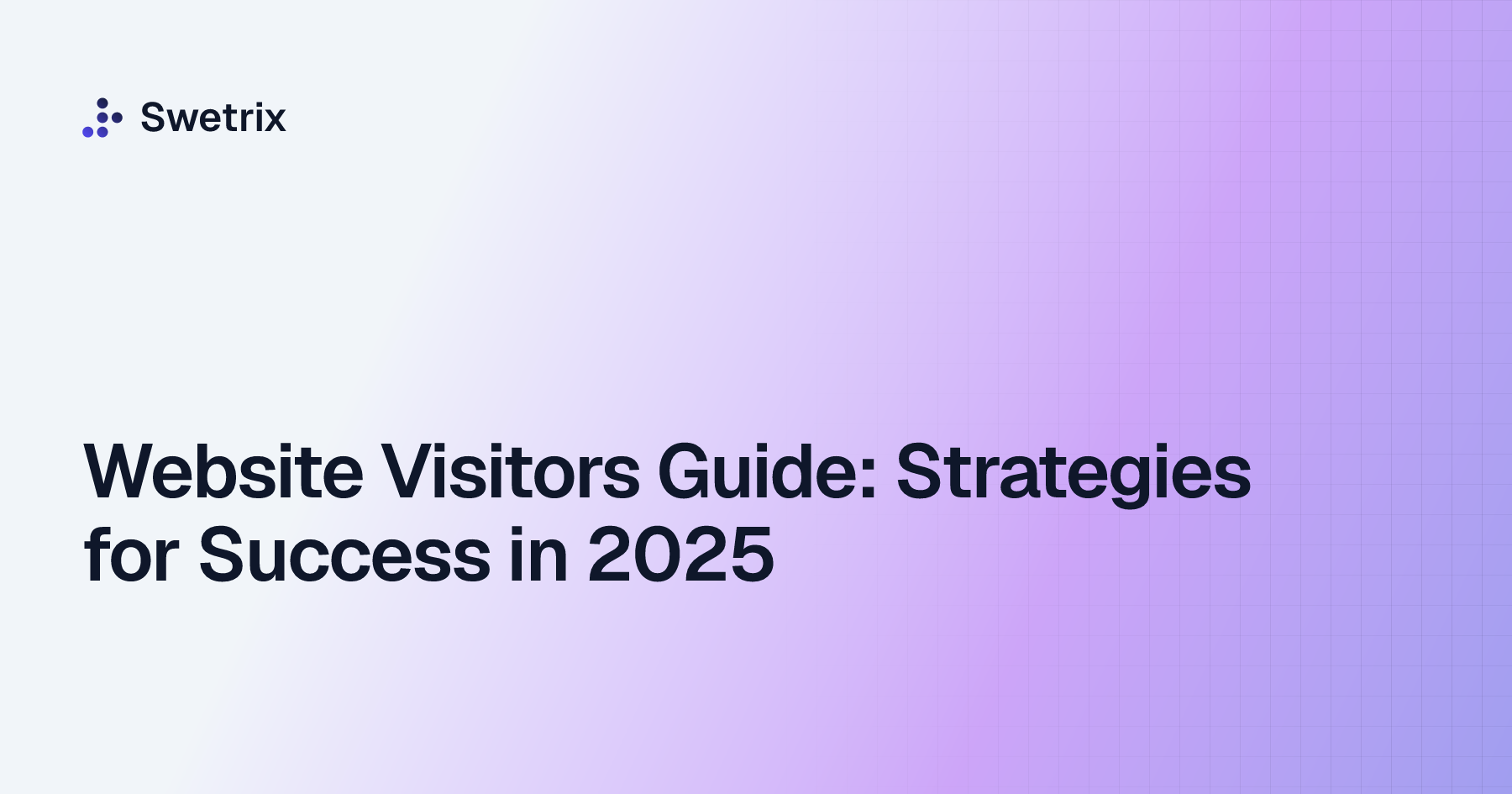 Website Visitors Guide: Strategies for Success in 2025 | Swetrix